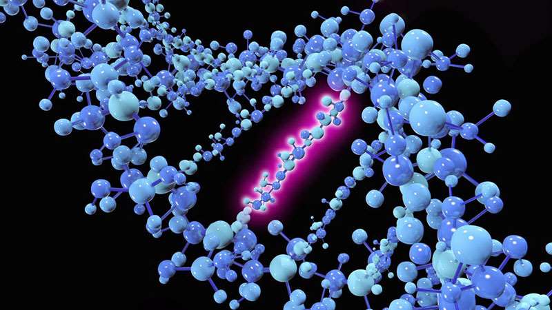 Precision Oncology | MCW Cancer Center | Medical College of Wisconsin ...